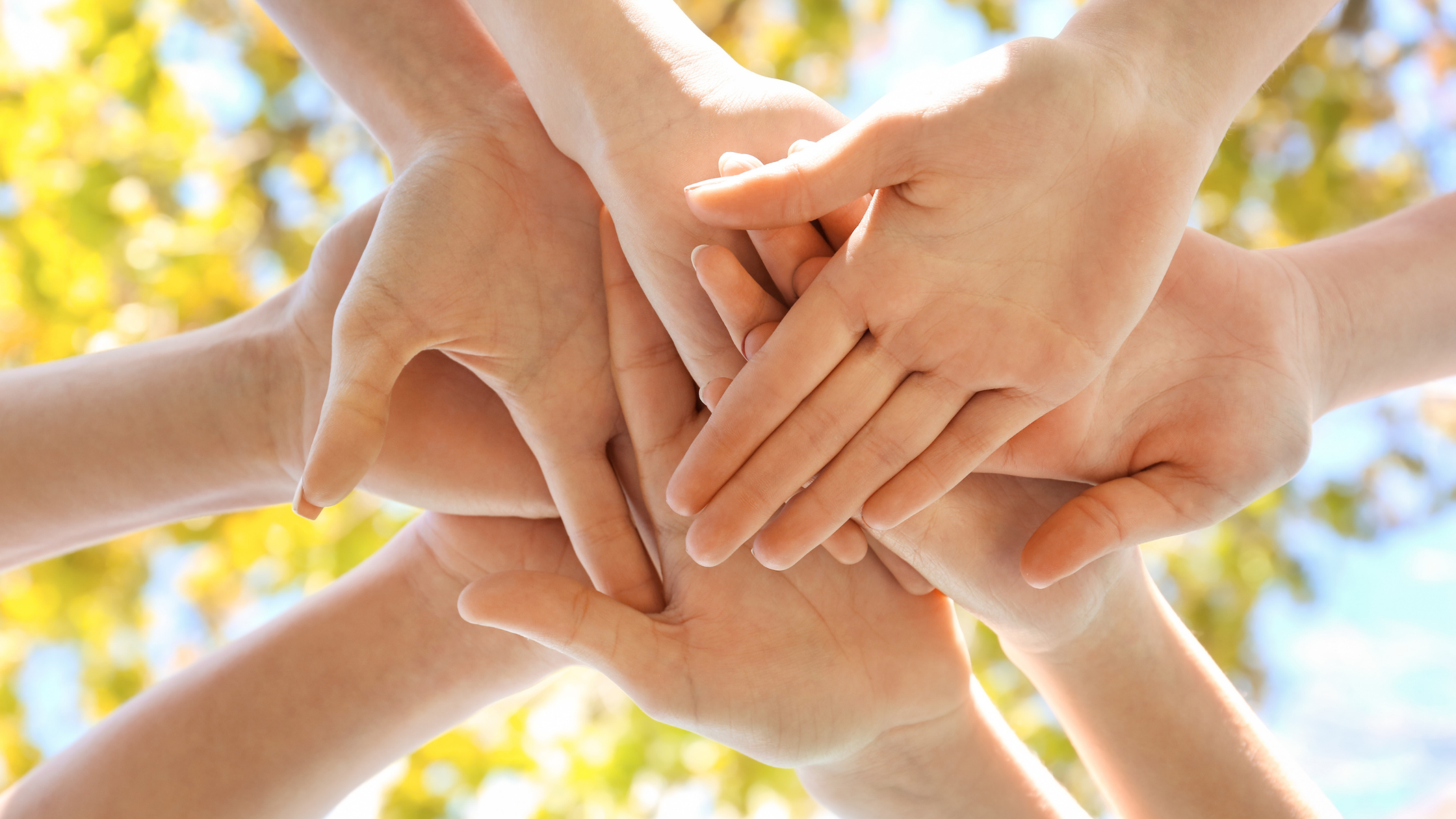 Learnlife | Passion-based learning