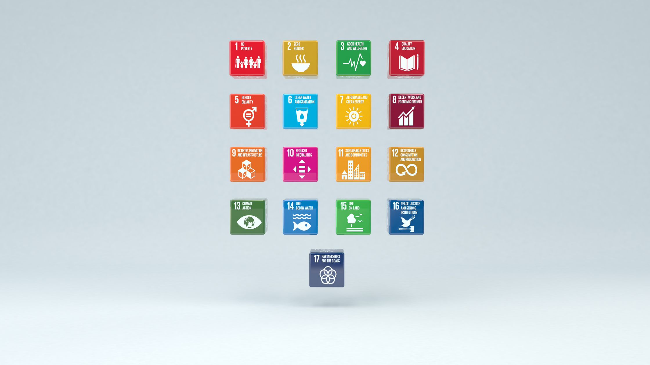 Learnlife | Sustainability-based learning